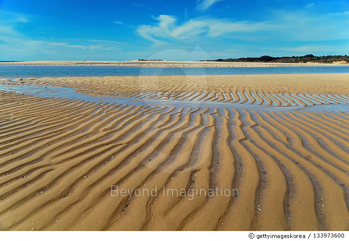 133973600 | 게티이미지코리아 | Furrows at sea side at low tide Royalty-Free 이미지